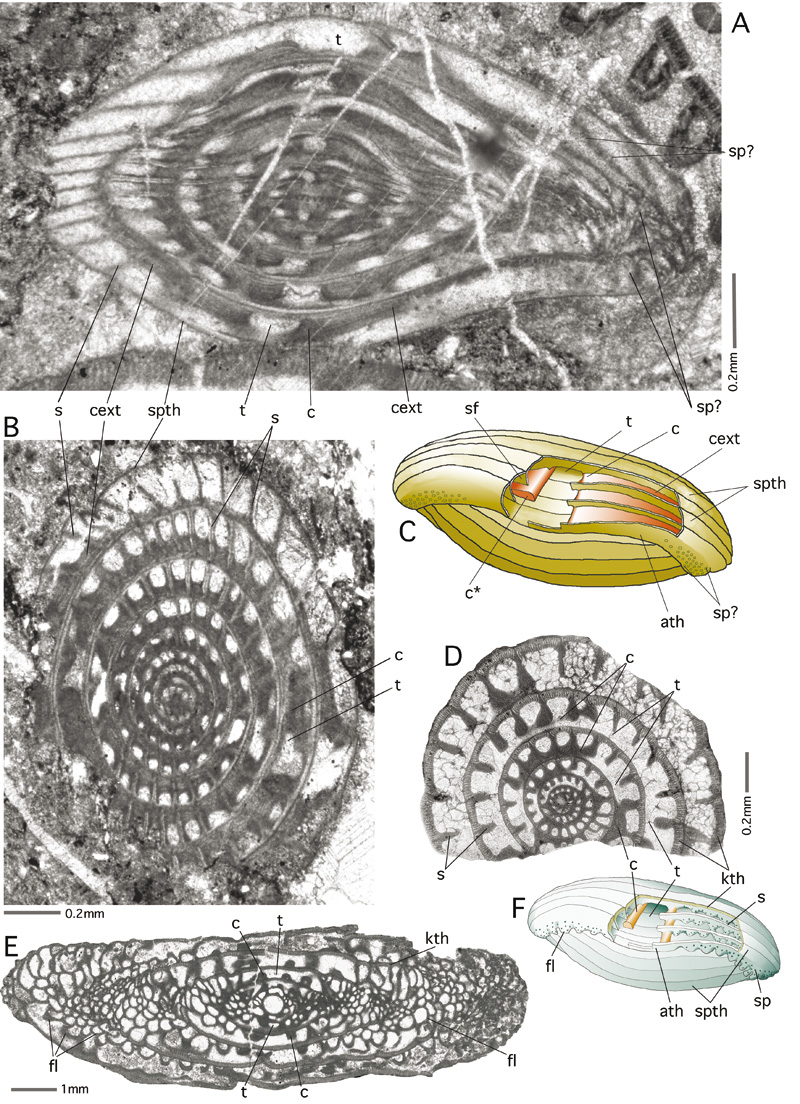 Figure 31: Chomata.