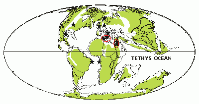 Parsimony analysis of endemicity of enchodontoid fishes from the Cenomanian